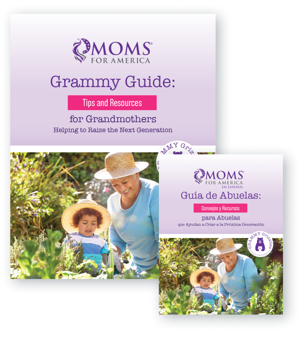 A Moms Guide All-Booklets-CF | Moms for America